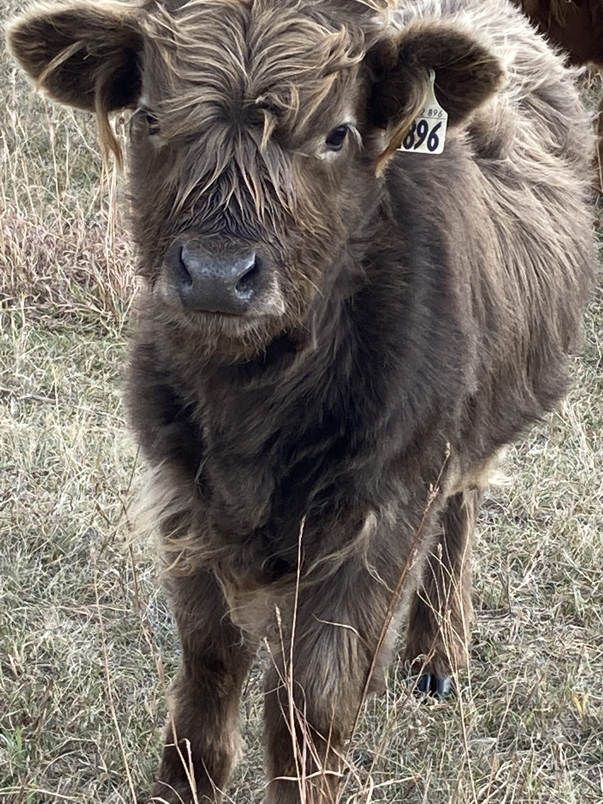 Black Hills Highlands Gallery | South Dakota - Black Hills Highlands